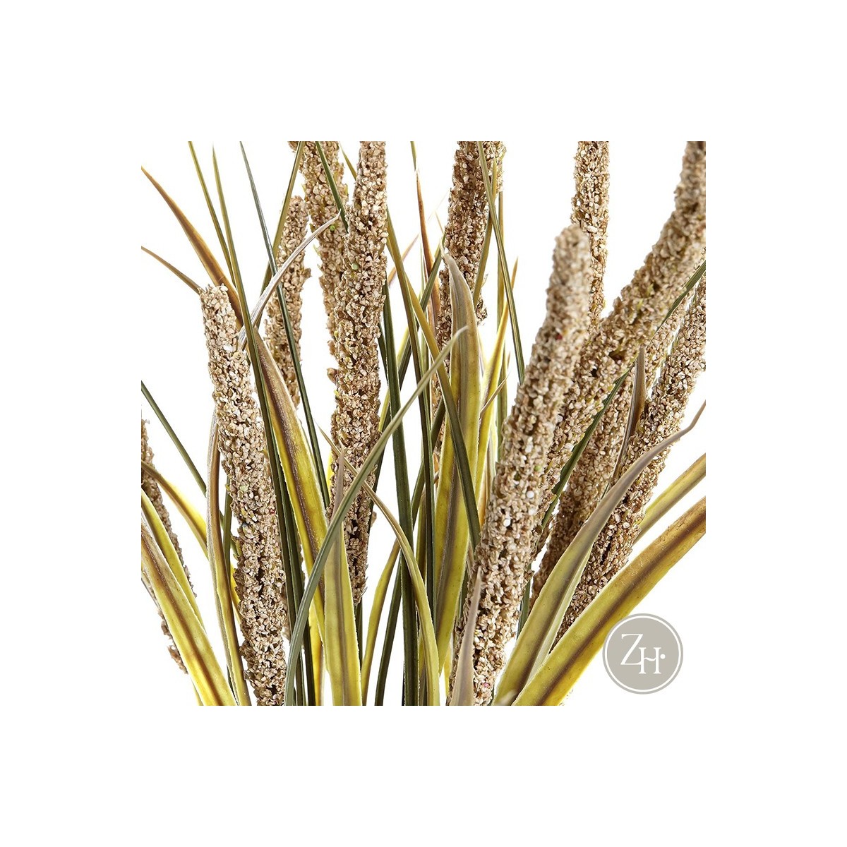 Flor beige LAVANDULA